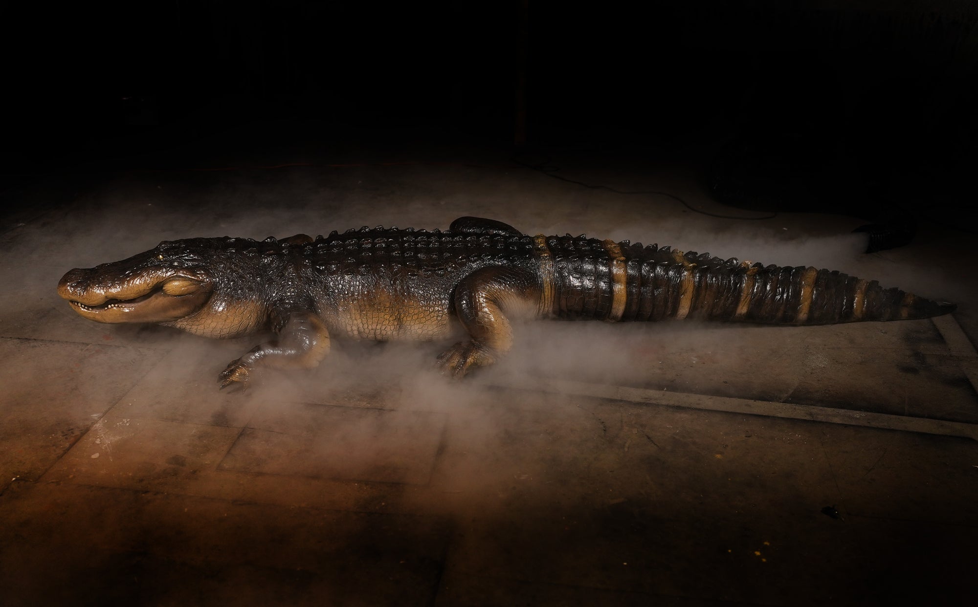 Alligator Display Prop For Sale 12 Feet Long and Ultra Realistic ...