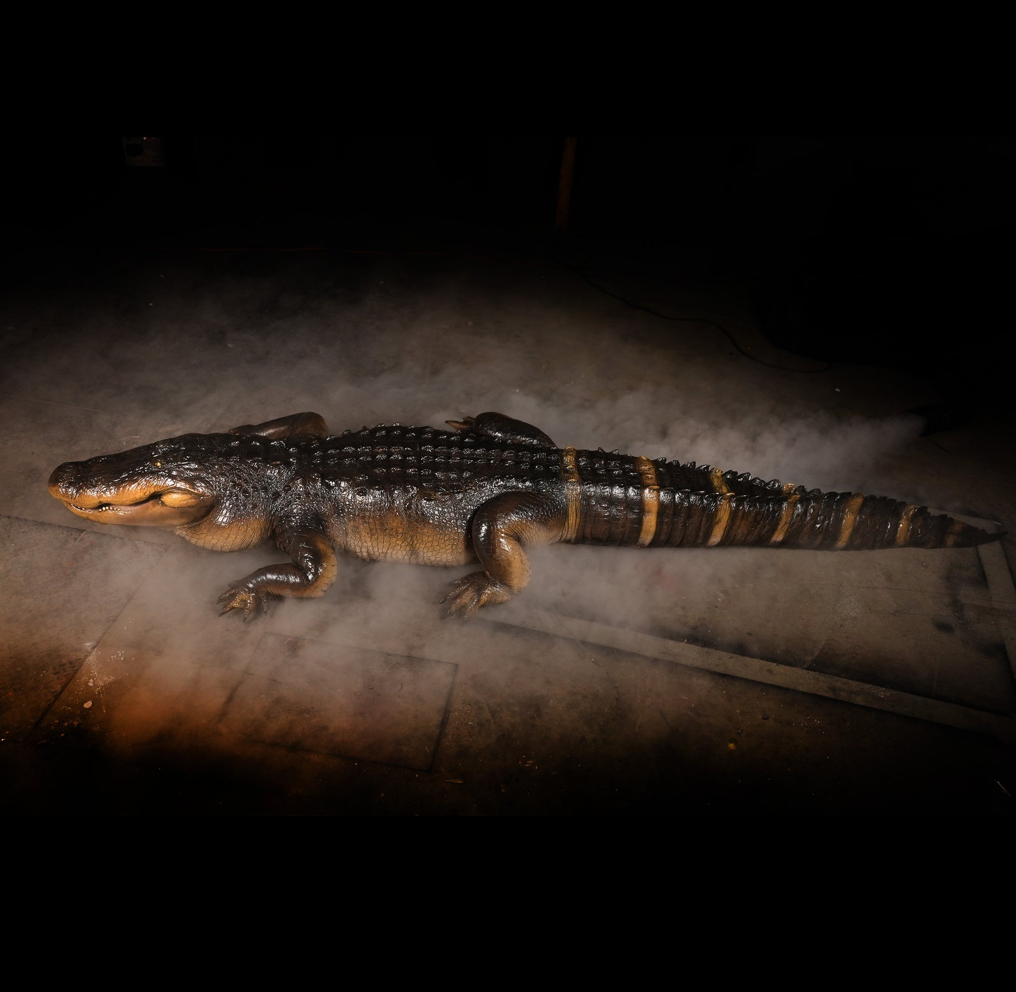 Alligator Display Prop For Sale 12 Feet Long and Ultra Realistic ...