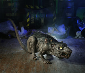 Dirty Rat Halloween Prop Decorations For Sale Online – Distortions ...