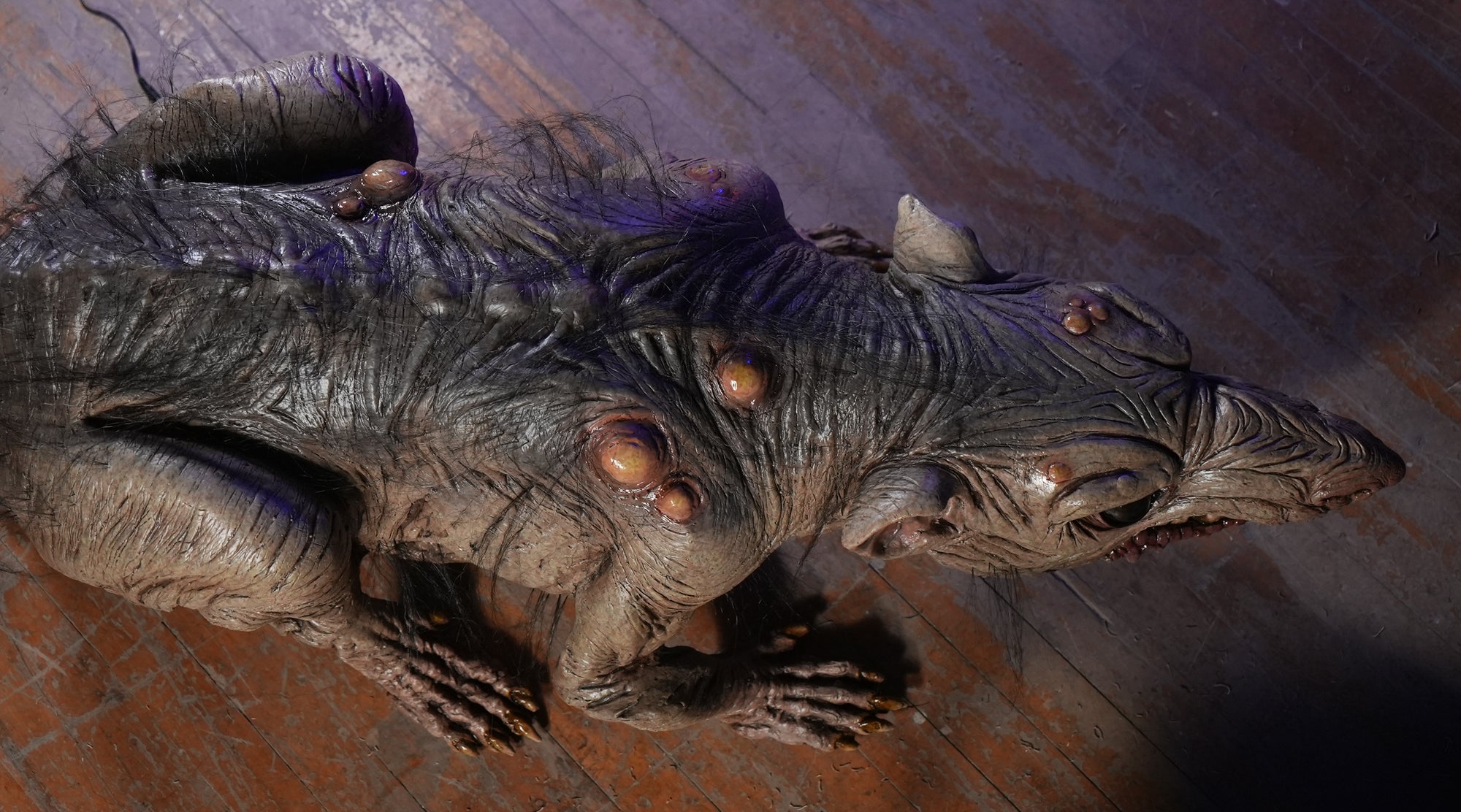 Dirty Rat Halloween Prop Decorations For Sale Online – Distortions ...
