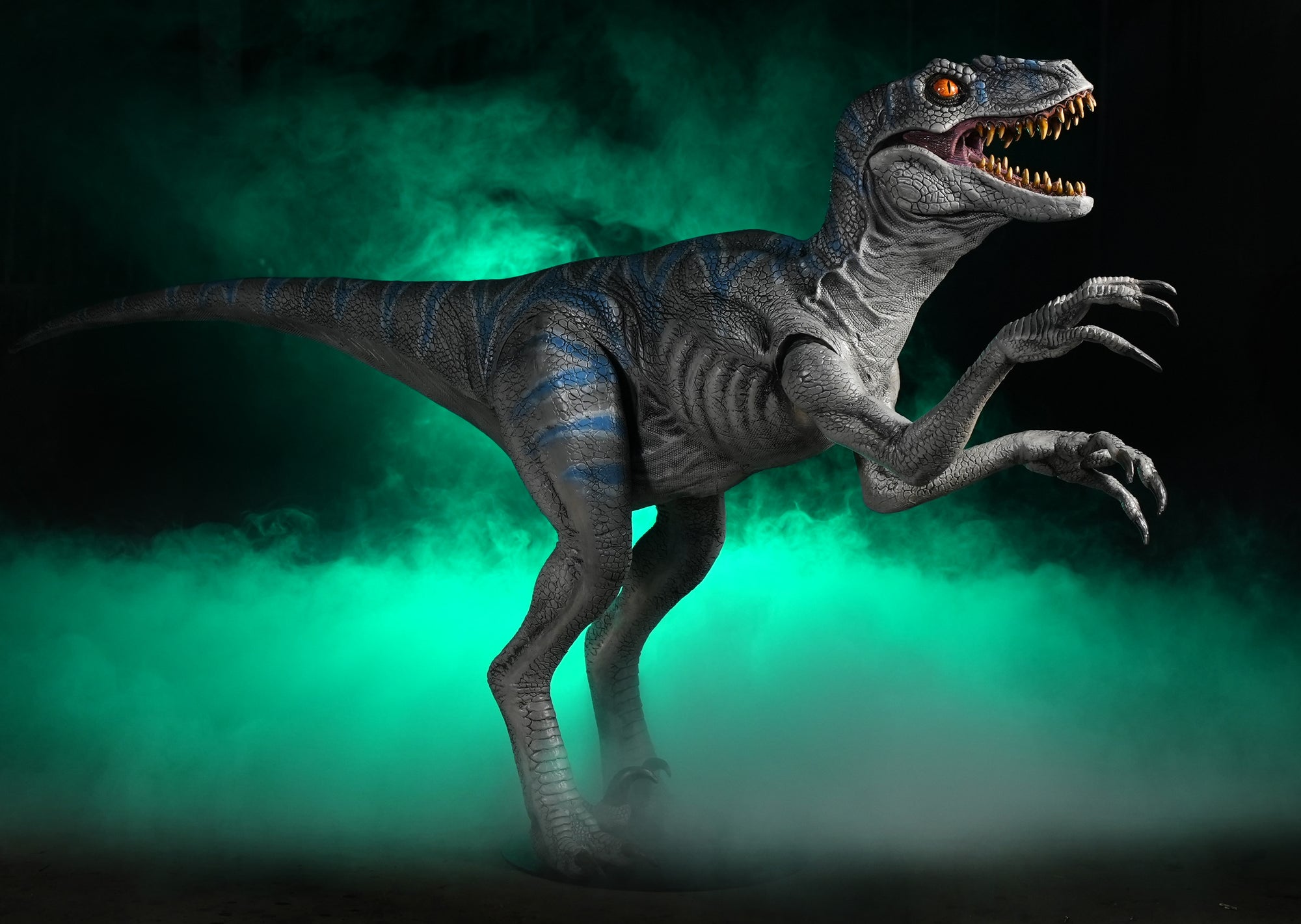 Raptor Display Standing Velociraptor Dinosaur Prop 9ft. Long ...