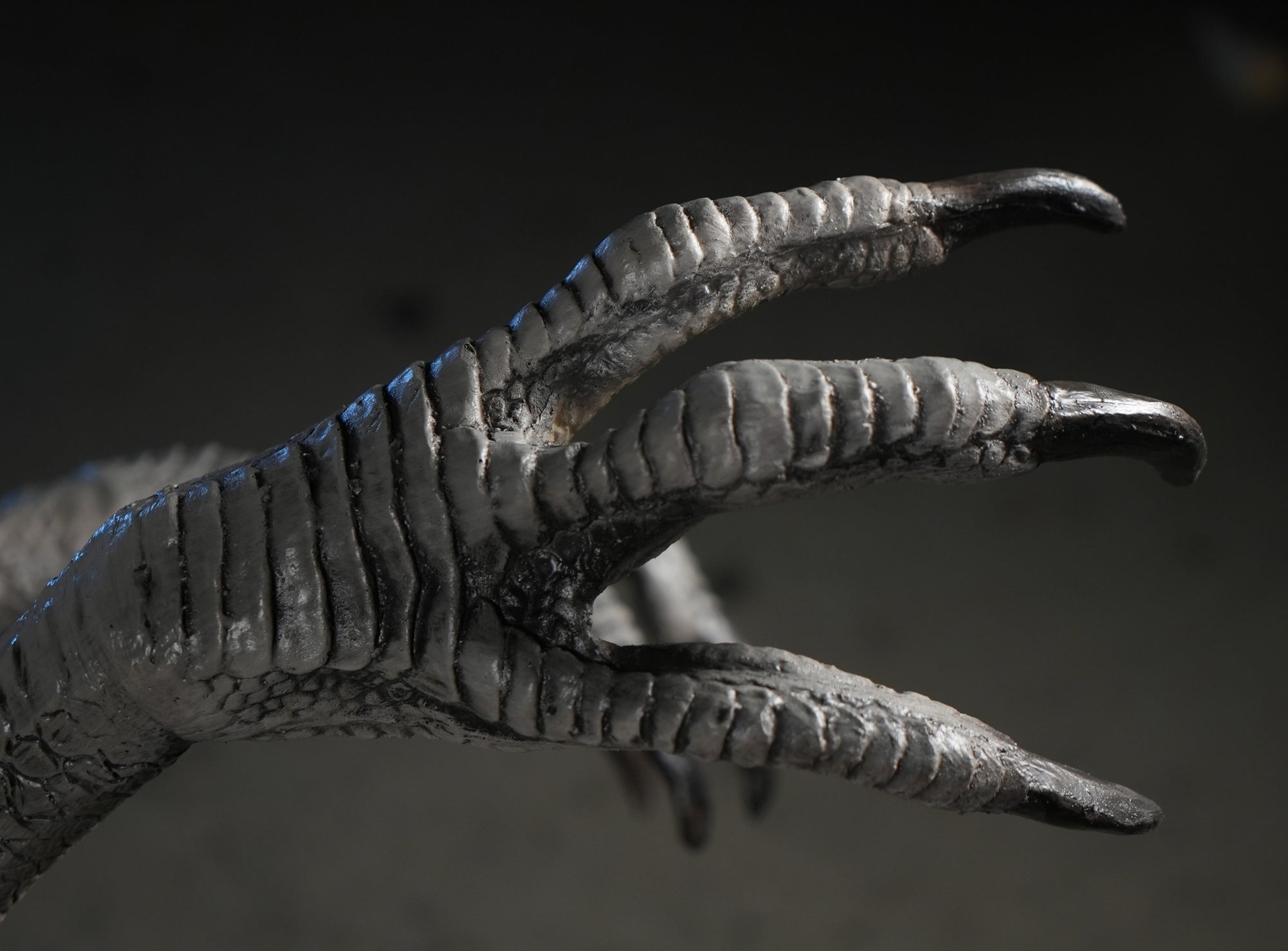 Raptor Display Standing Velociraptor Dinosaur Prop 9ft. Long ...