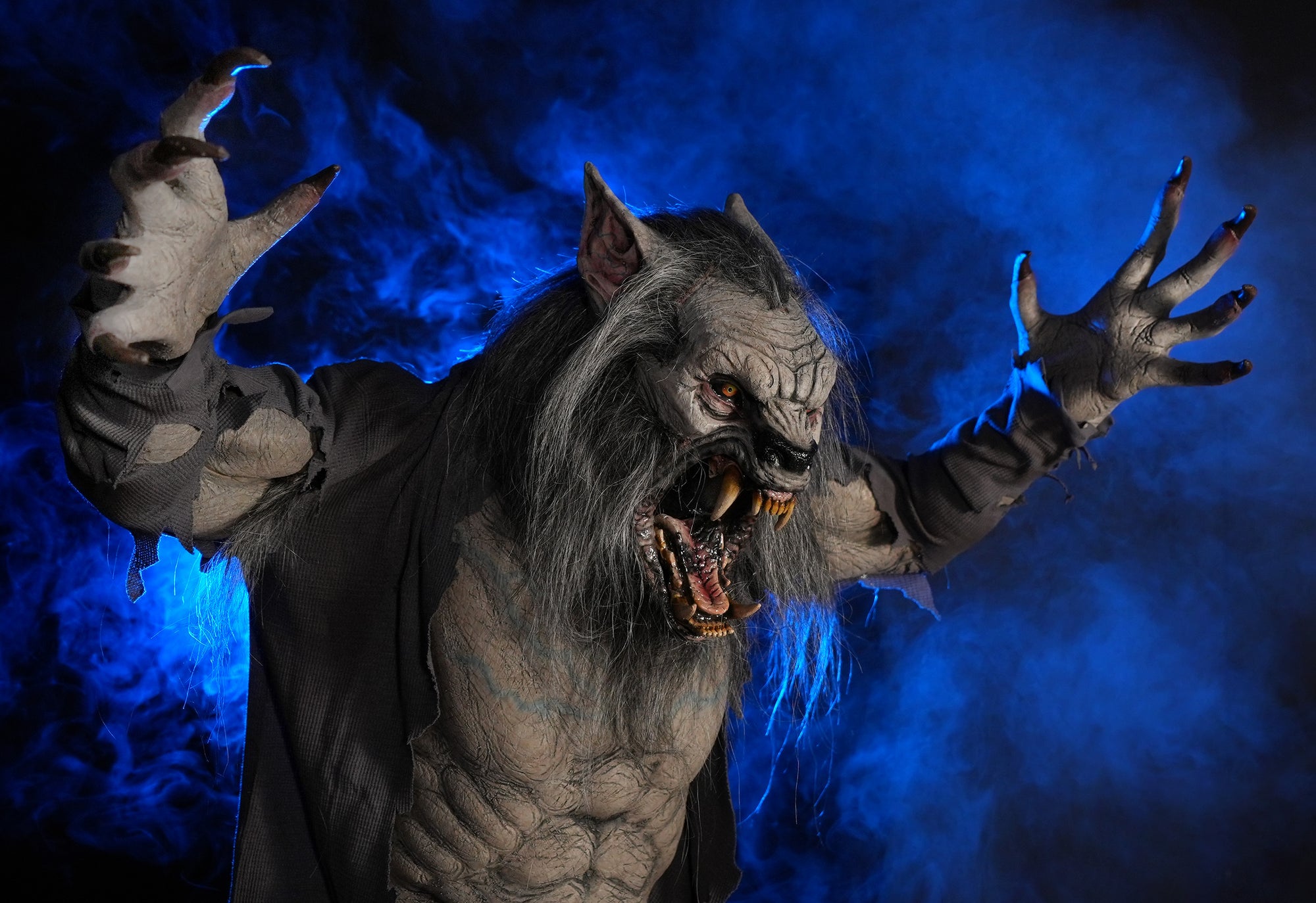 Scare Wolf Legend Professional Werewolf Halloween Props – Distortions ...