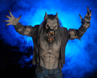 Scare Wolf Legend Professional Werewolf Halloween Props – Distortions ...