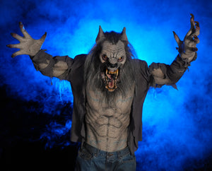 Scare Wolf Legend Professional Werewolf Halloween Props – Distortions ...