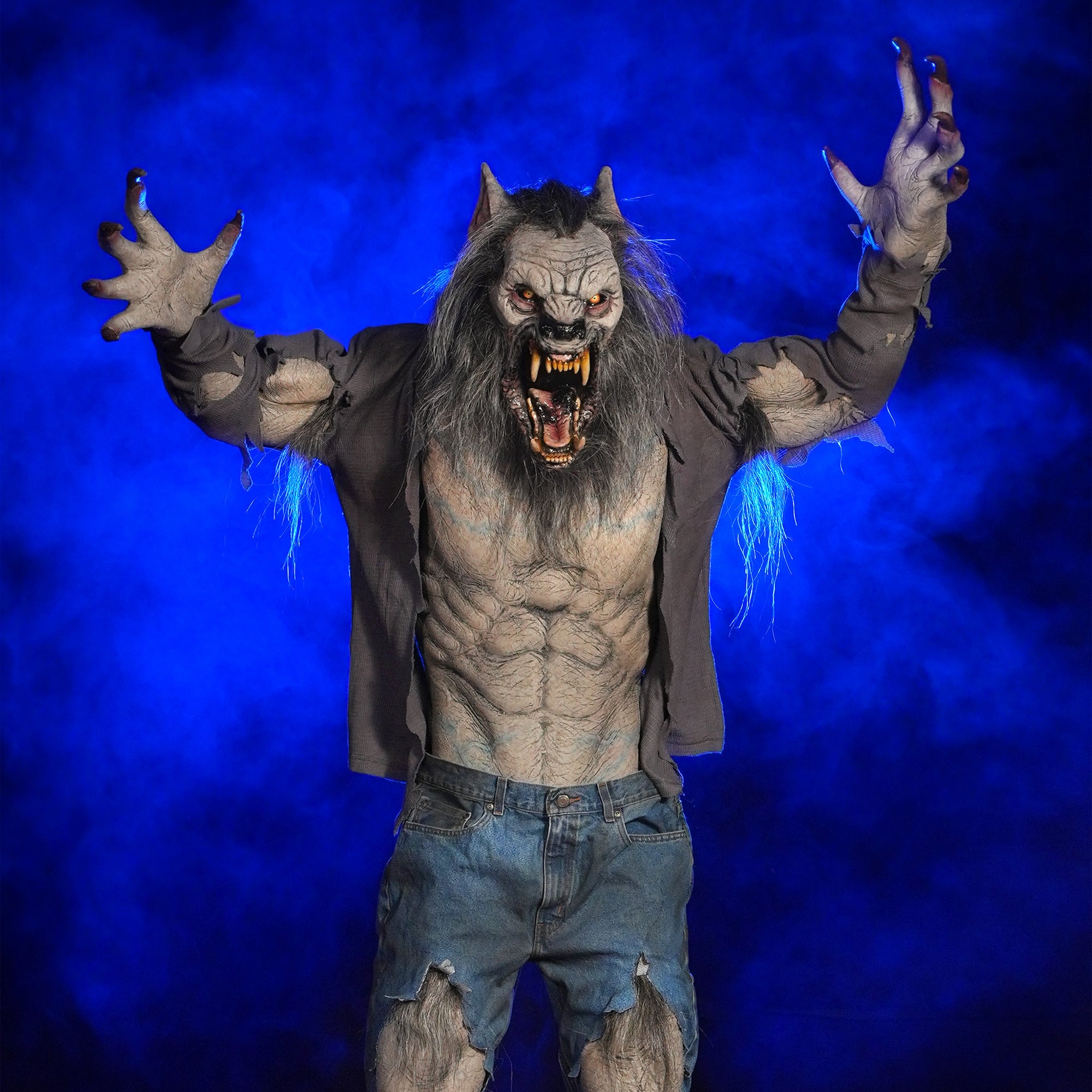 Scare Wolf Legend Professional Werewolf Halloween Props – Distortions ...