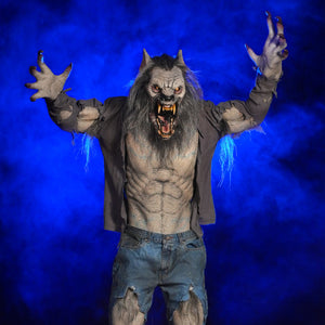 Quality Halloween Props from Distortions Unlimited | Online Halloween ...