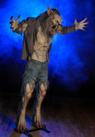 Scare Wolf Legend Professional Werewolf Halloween Props – Distortions ...