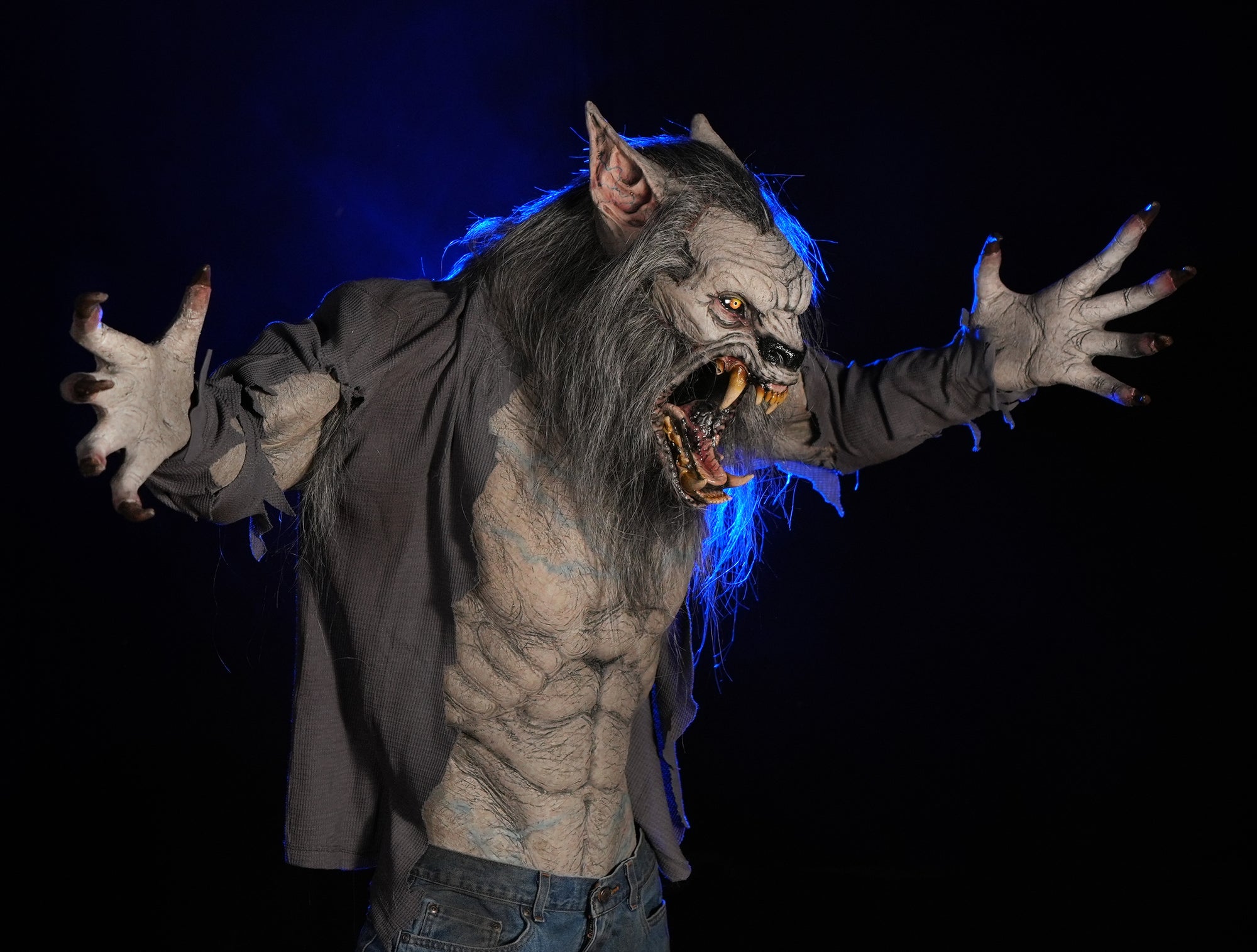 Scare Wolf Legend Professional Werewolf Halloween Props – Distortions ...