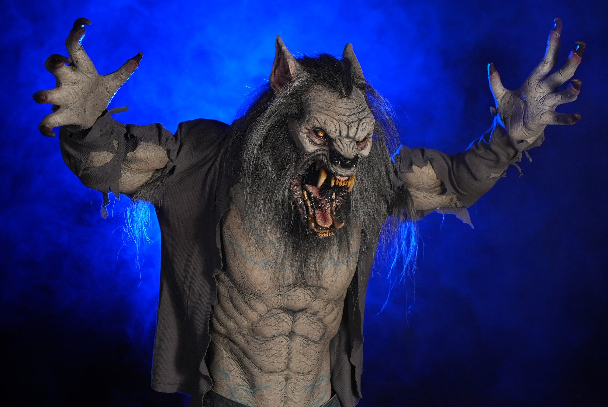 Scare Wolf Legend Professional Werewolf Halloween Props – Distortions ...
