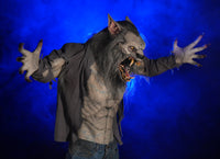 Scare Wolf Legend Professional Werewolf Halloween Props – Distortions ...