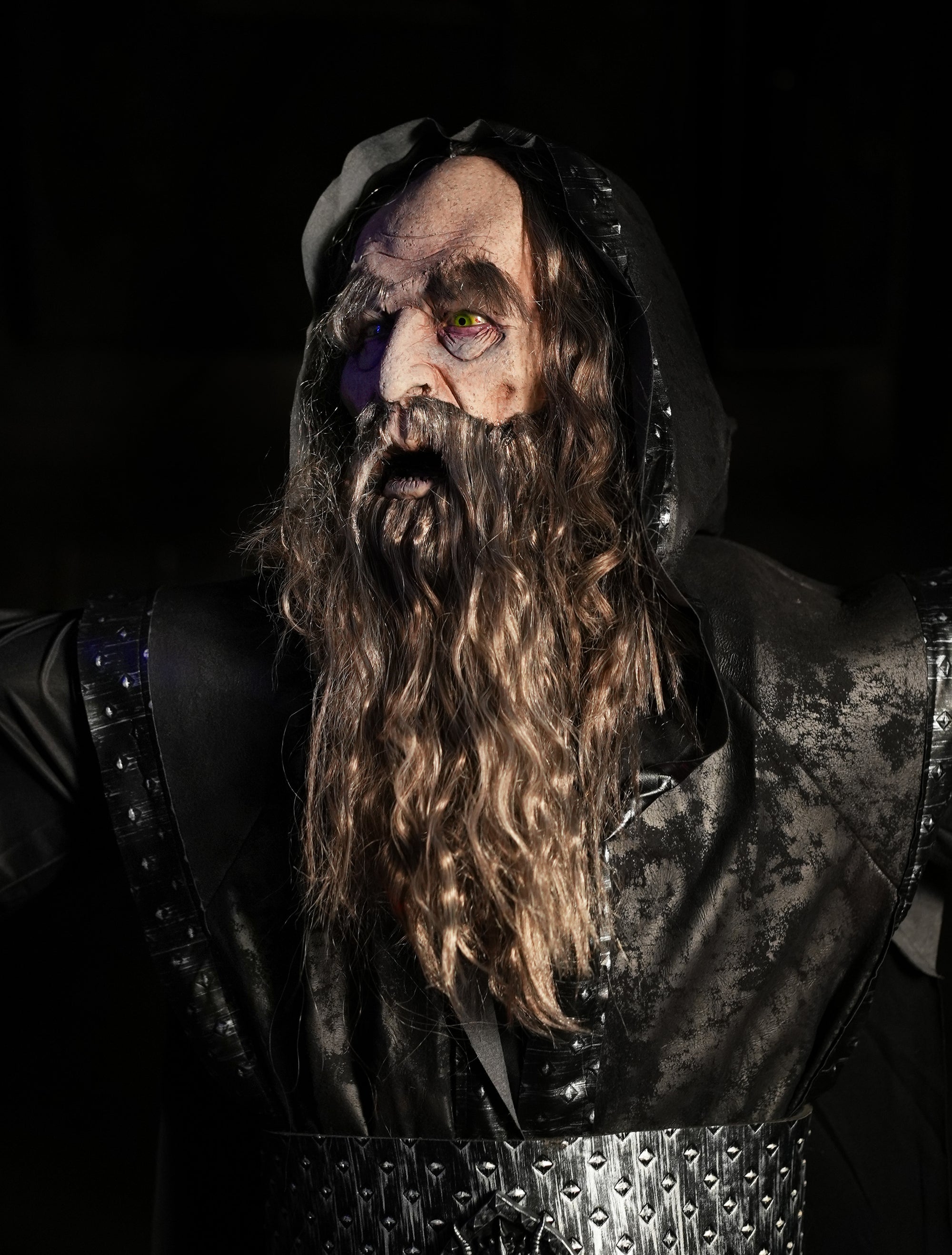 Ancient Wizard Talking Animatronic For Theme Parks and Haunts ...