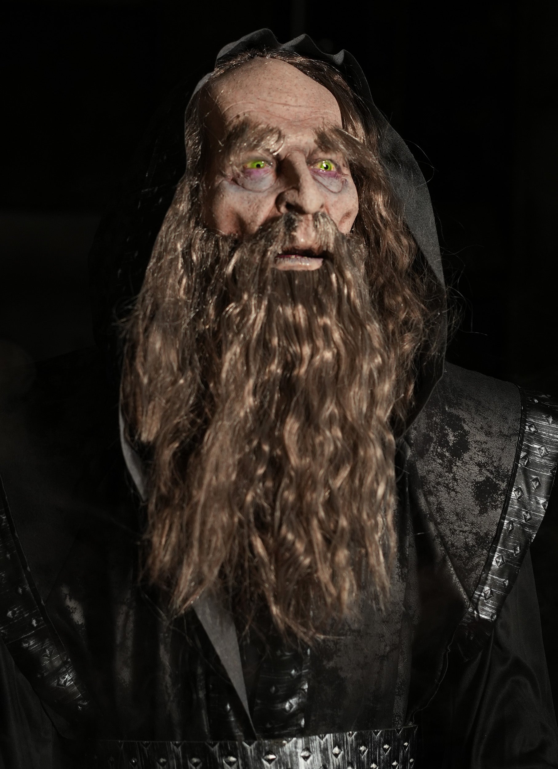 Ancient Wizard Talking Animatronic For Theme Parks and Haunts ...