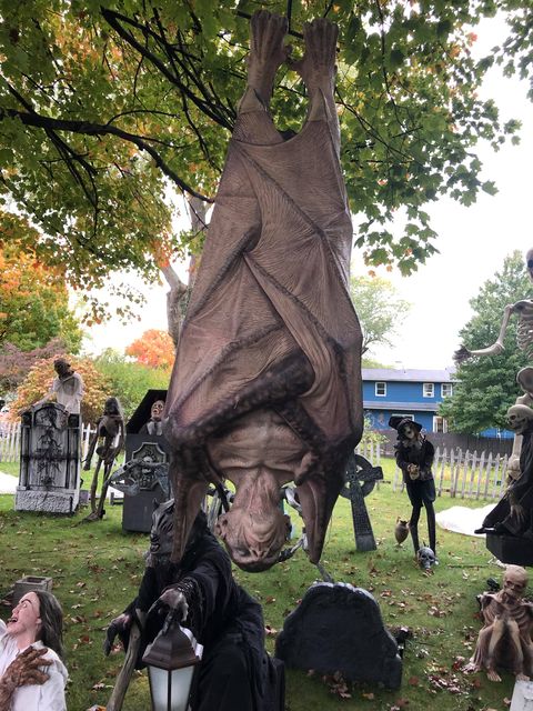 Vampire Giant Hanging Prop for Horror and Halloween fans – Distortions ...