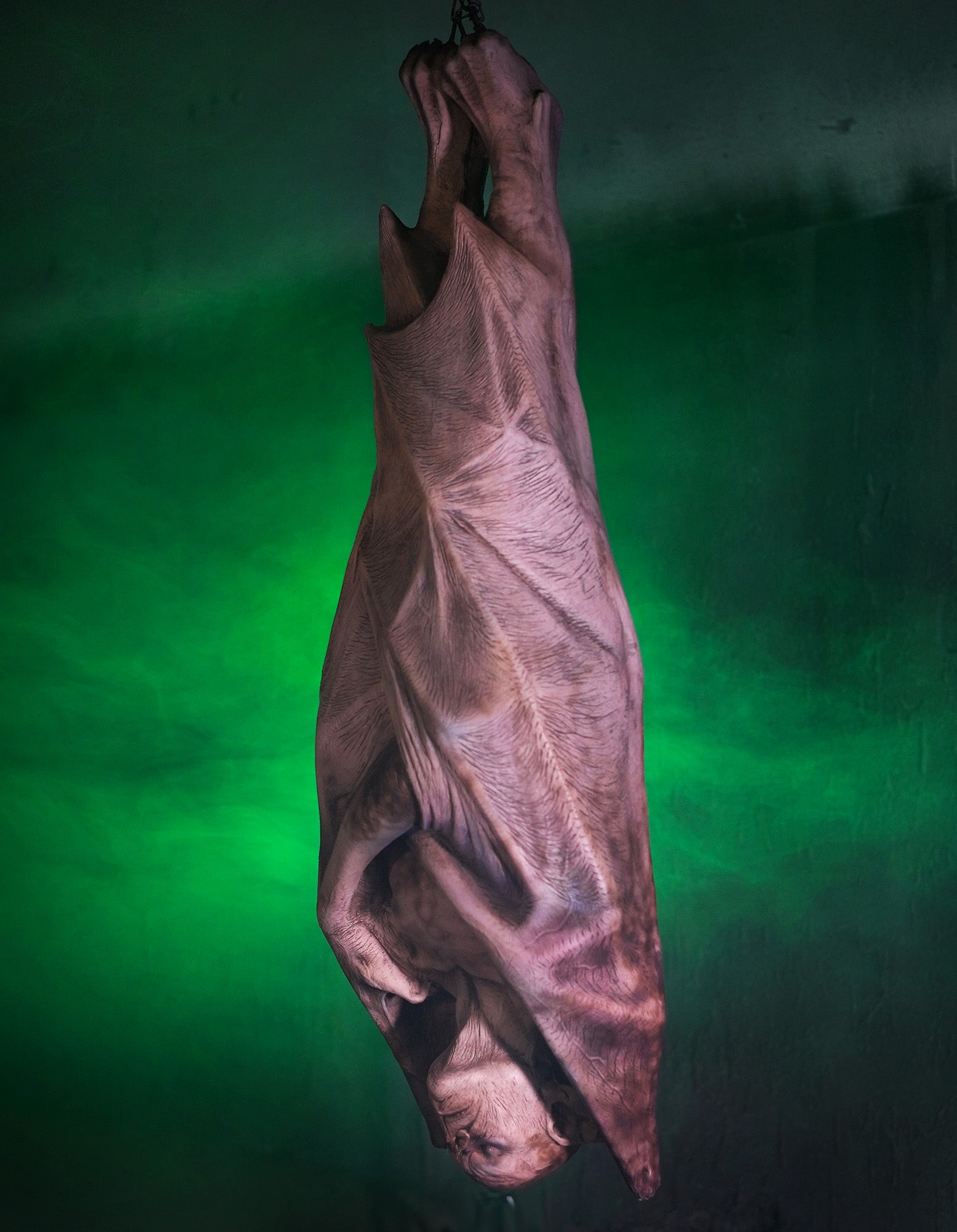 Vampire Giant Hanging Prop for Horror and Halloween fans – Distortions ...