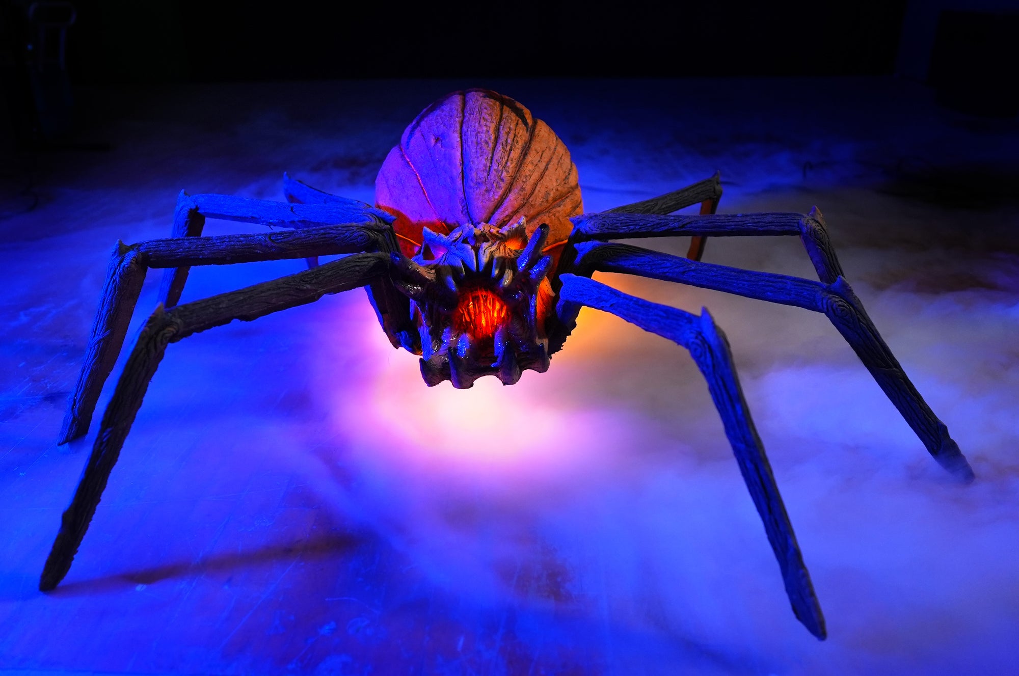 Jack Widow Giant Halloween Spider Jack-O-Lantern Prop – Distortions ...