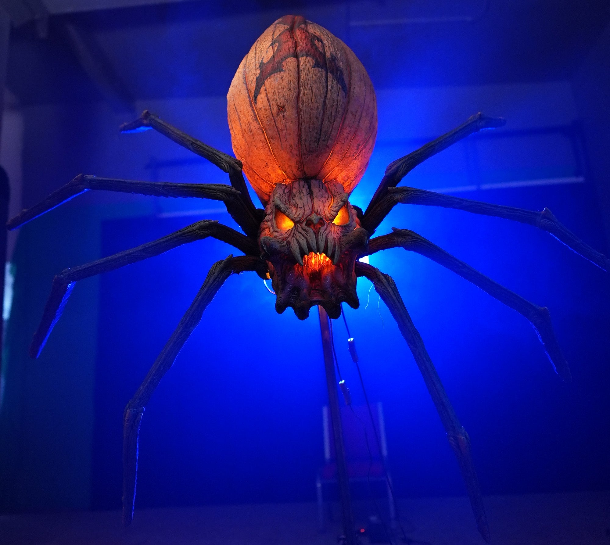 Jack Widow Giant Halloween Spider Jack-O-Lantern Prop – Distortions ...