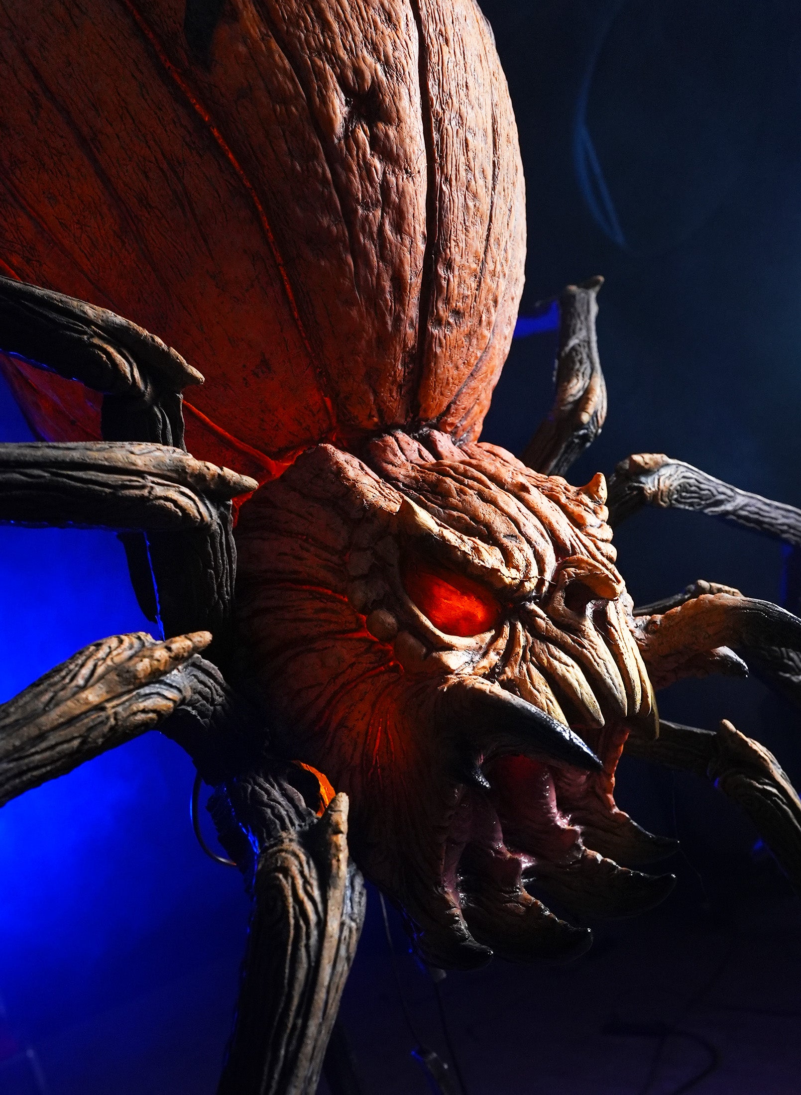 Jack Widow Giant Halloween Spider Jack-O-Lantern Prop – Distortions ...
