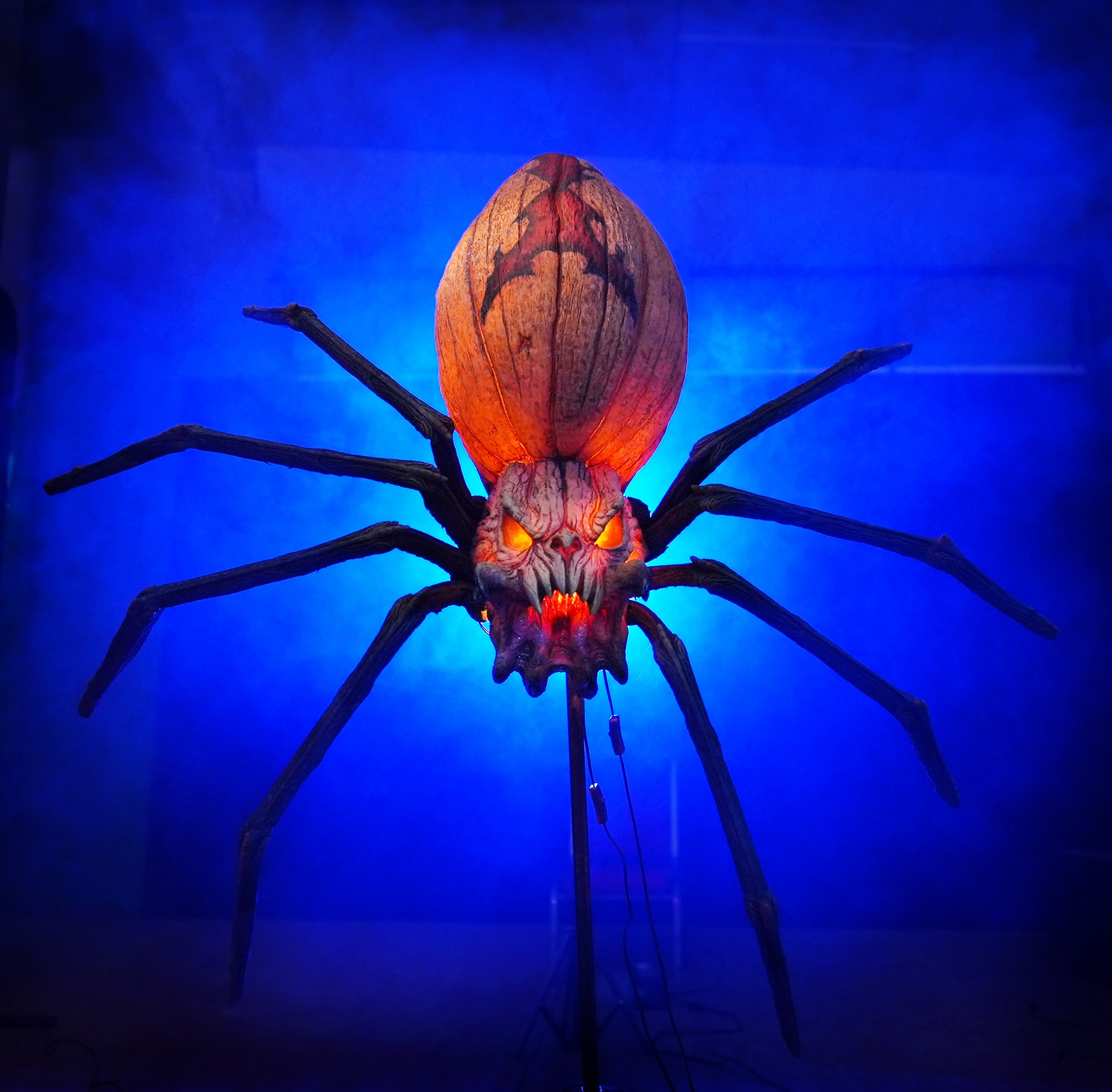 Jack Widow Giant Halloween Spider Jack-O-Lantern Prop – Distortions ...