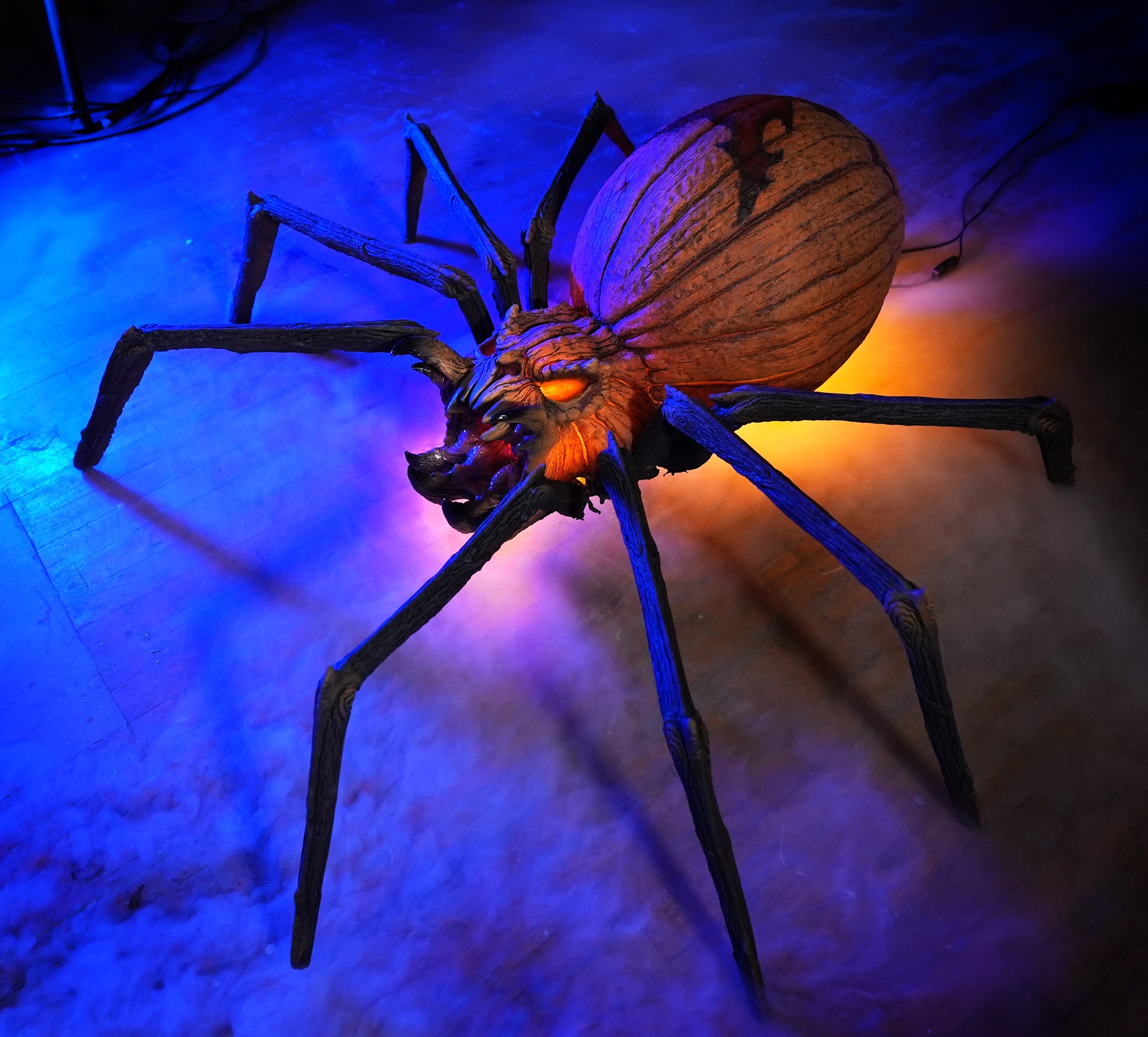 Jack Widow Giant Halloween Spider Jack-O-Lantern Prop – Distortions ...