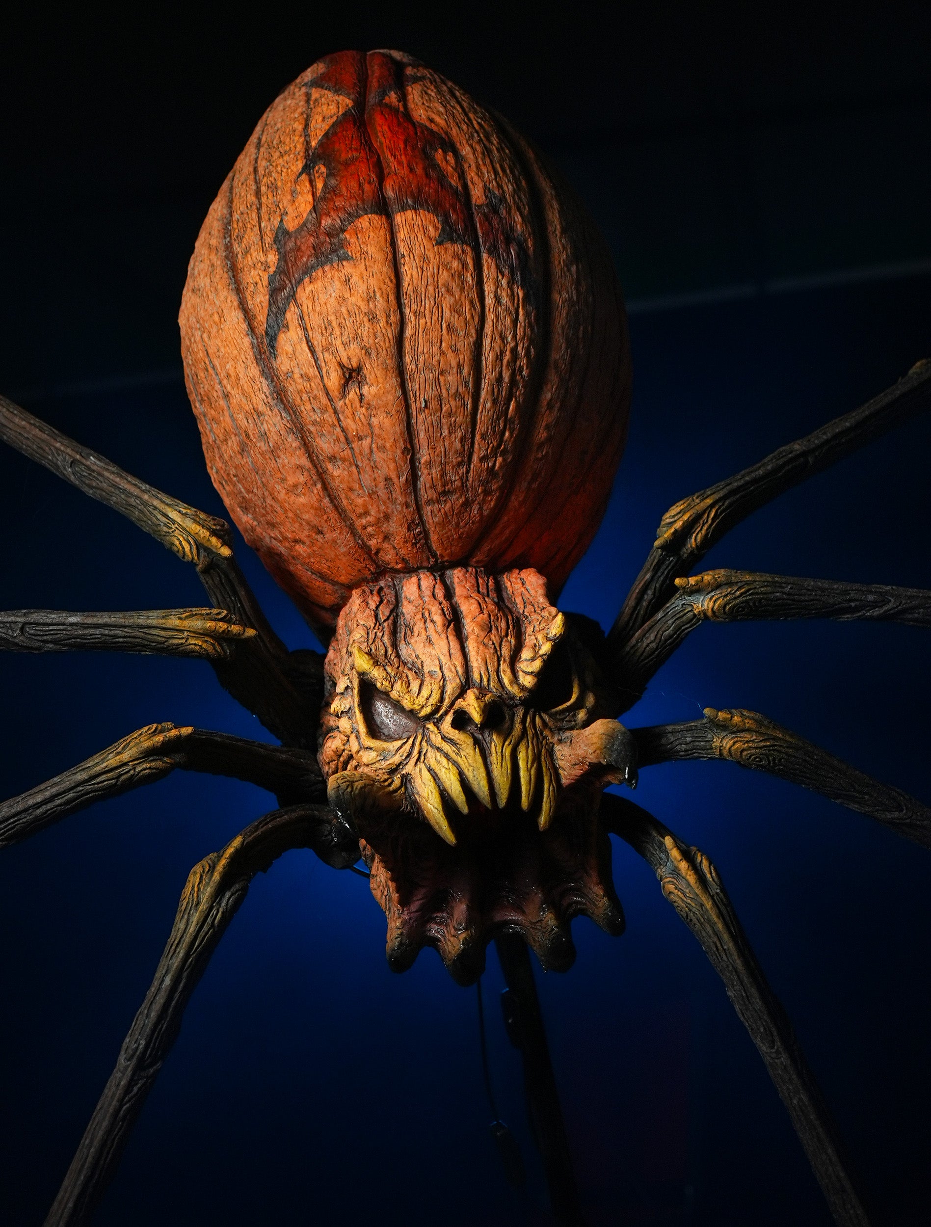 Jack Widow Giant Halloween Spider Jack-O-Lantern Prop – Distortions ...
