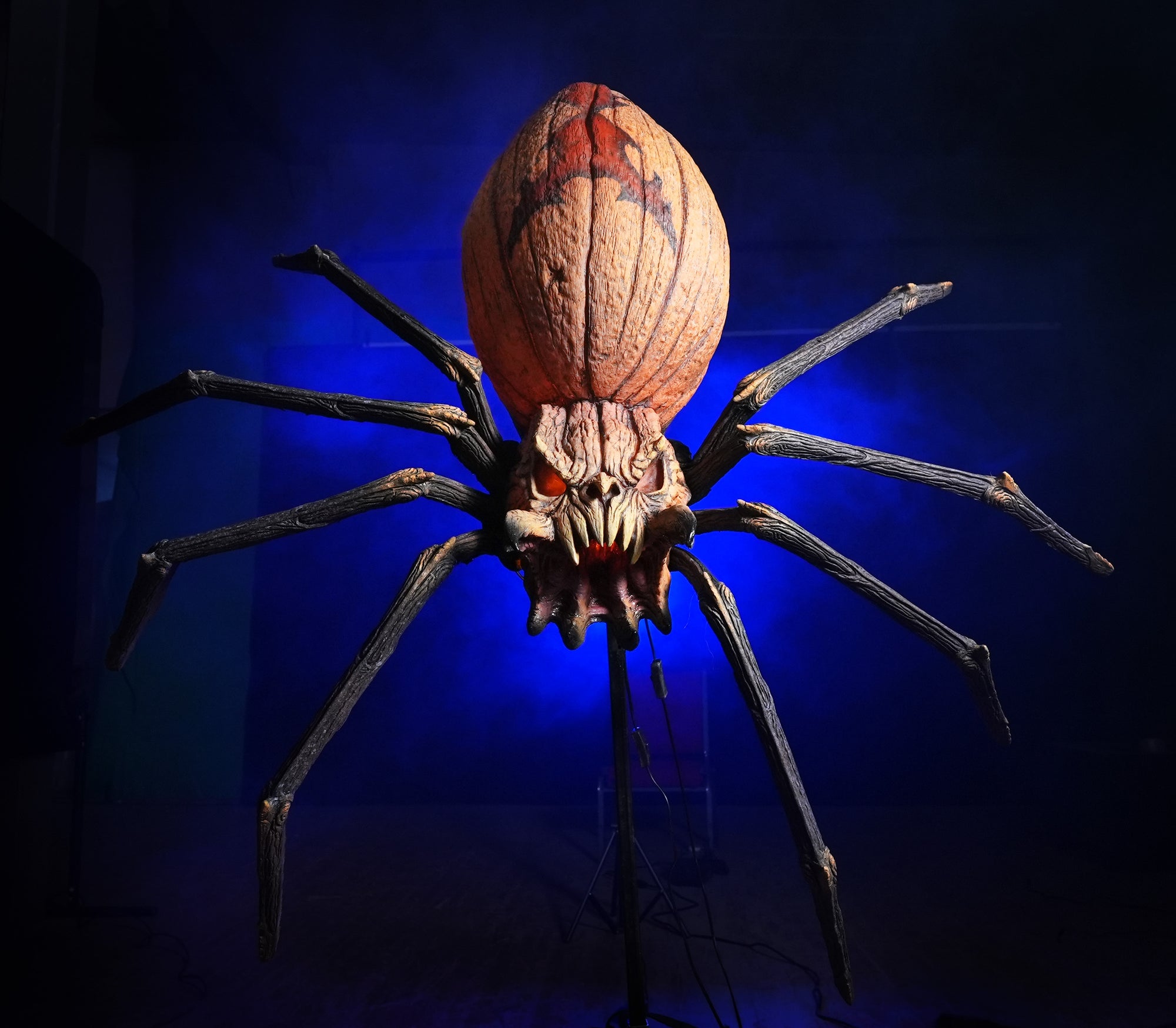 Jack Widow Giant Halloween Spider Jack-O-Lantern Prop – Distortions ...