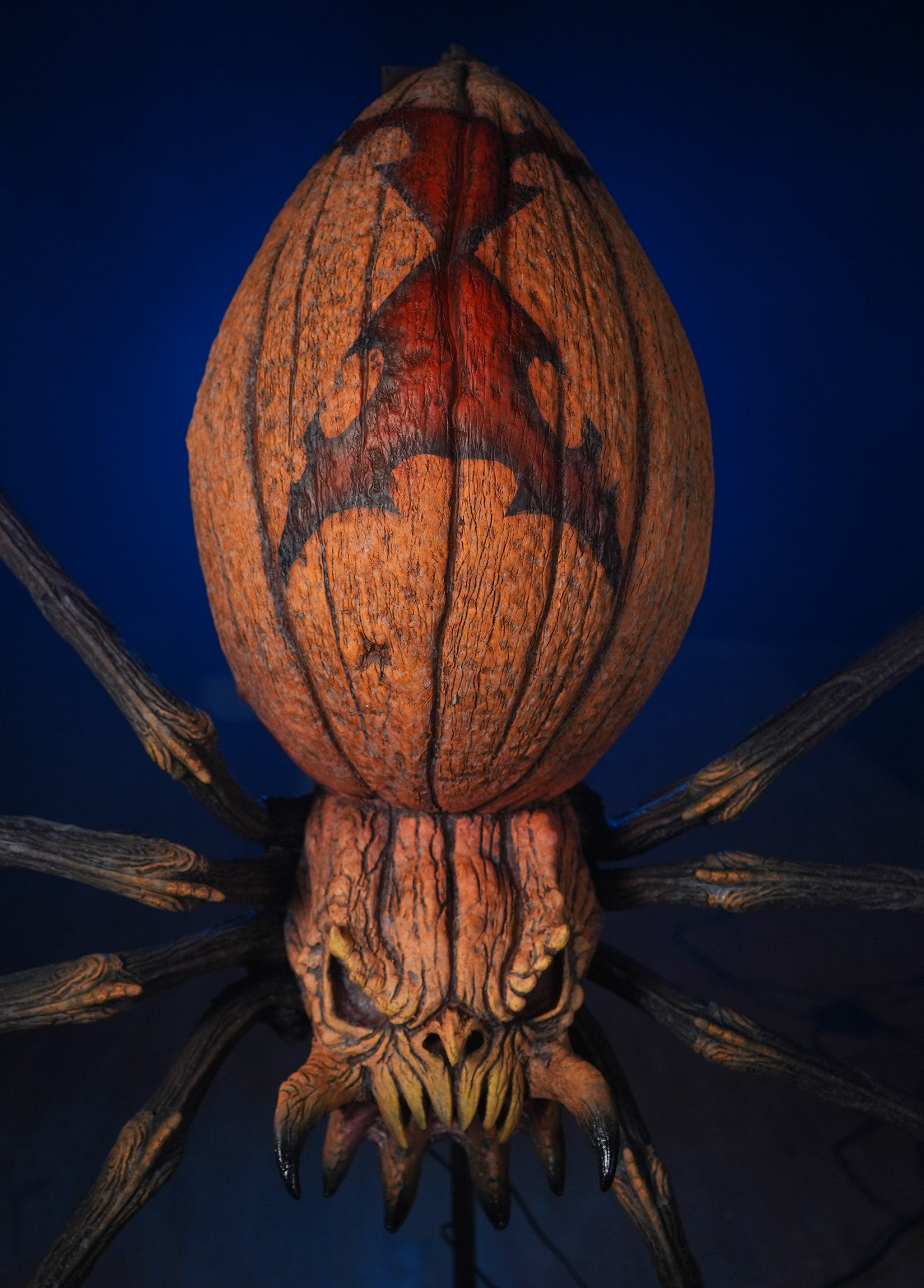 Jack Widow Giant Halloween Spider Jack-O-Lantern Prop – Distortions ...