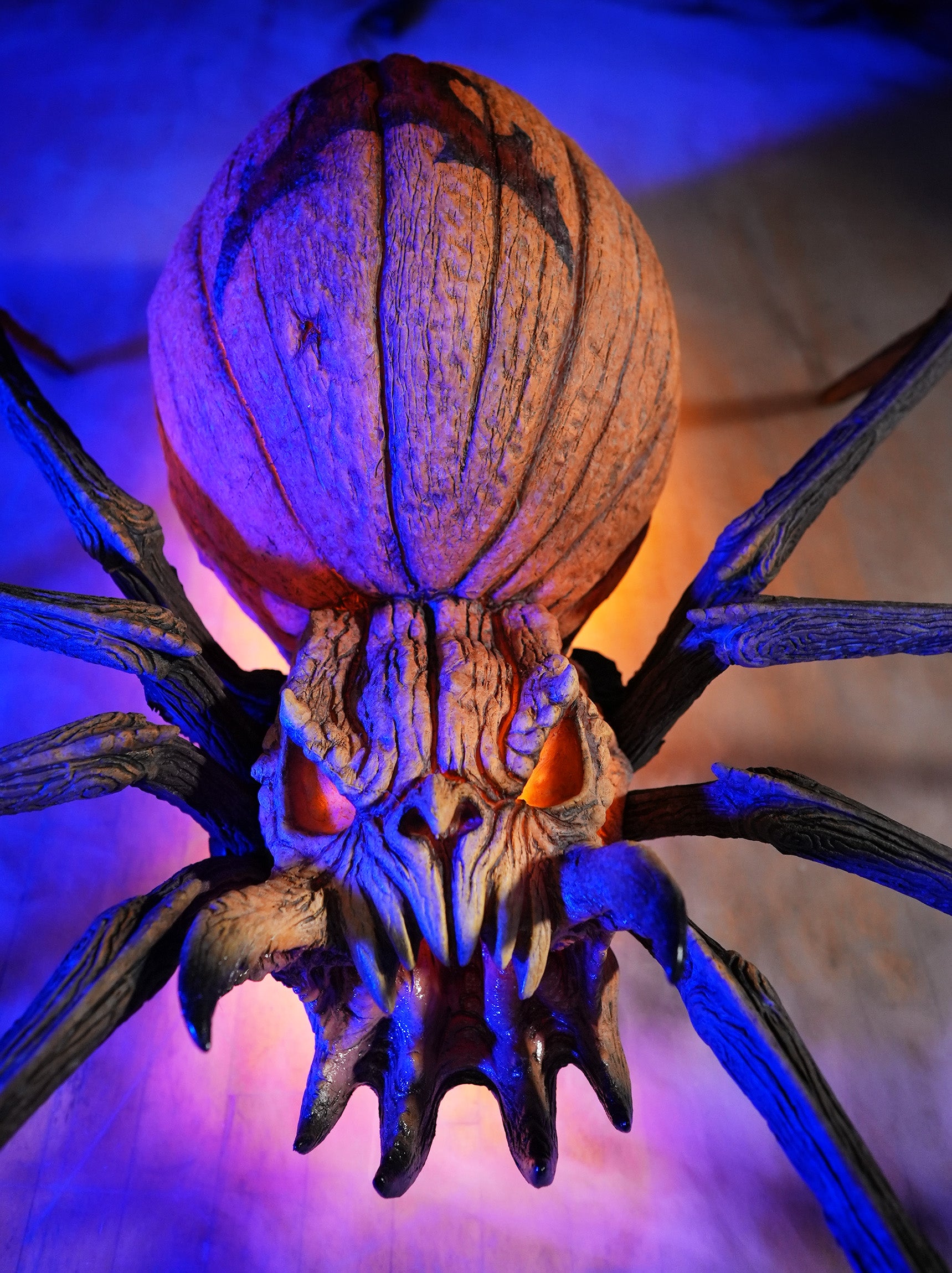 Jack Widow Giant Halloween Spider Jack-O-Lantern Prop – Distortions ...