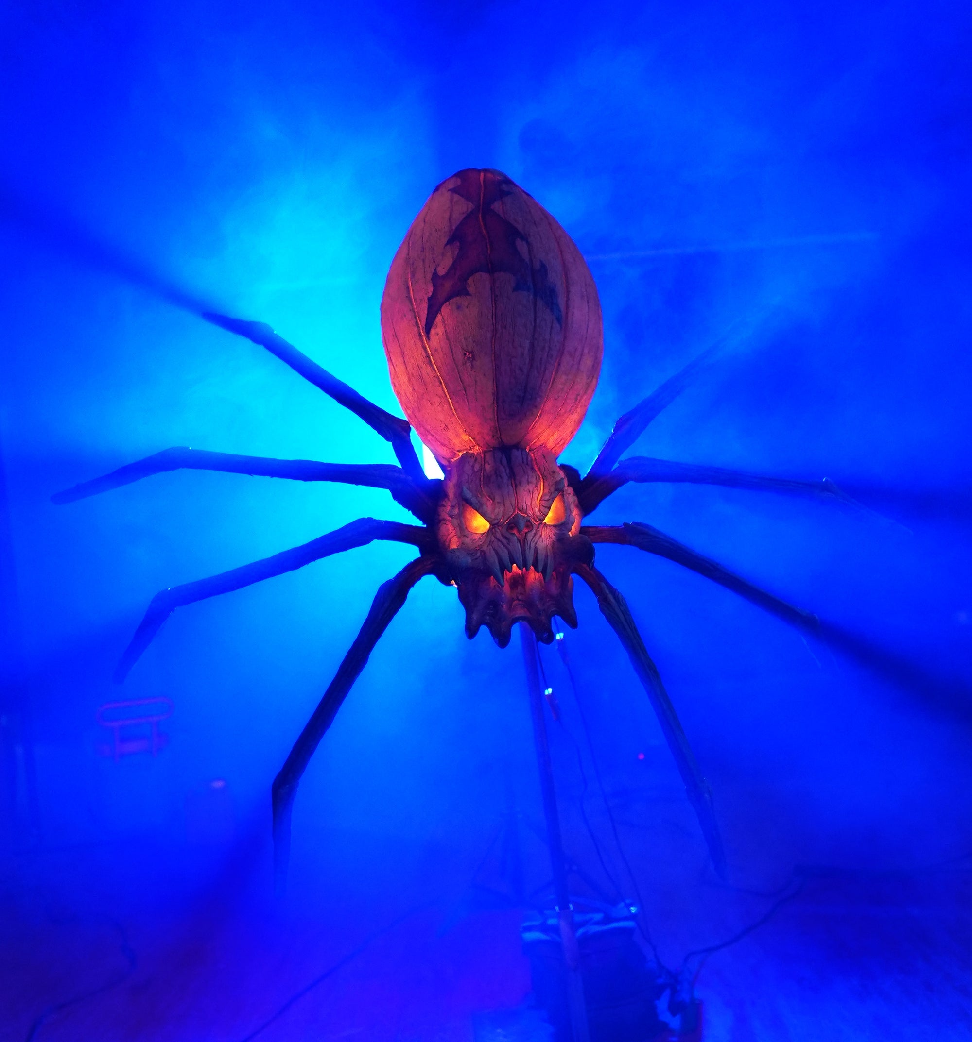 Jack Widow Giant Halloween Spider Jack-O-Lantern Prop – Distortions ...