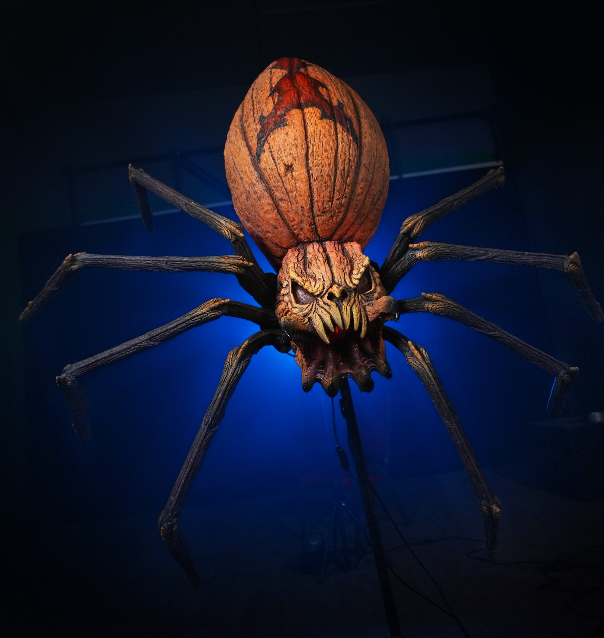 Jack Widow Giant Halloween Spider Jack-O-Lantern Prop – Distortions ...