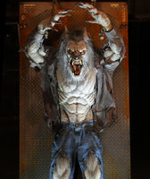 Scare Wolf Werewolf Animatronic Prop for Haunts and Halloween ...