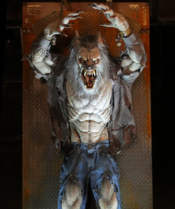 Scare Wolf Werewolf Animatronic Prop for Haunts and Halloween ...