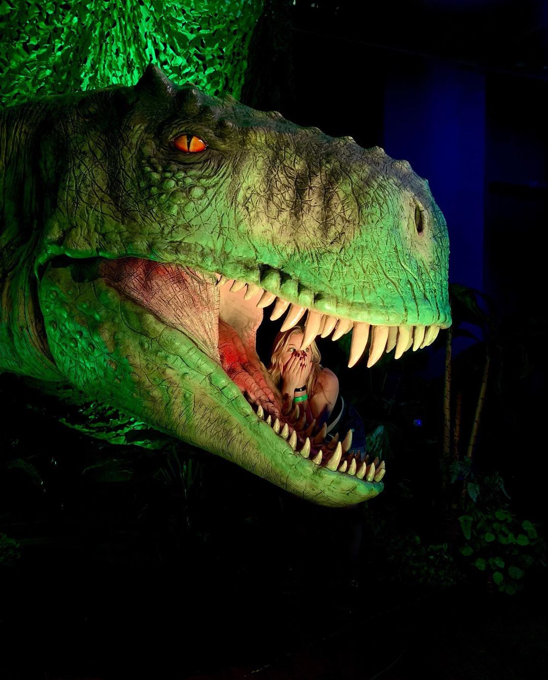 T-Rex Dinosaur Head Display for Sale | Theme Parks, Museums and Haunts ...