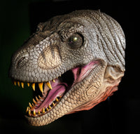 T REX Head Wall Mount Realistic Detailed Dinosaur Prop – Distortions ...
