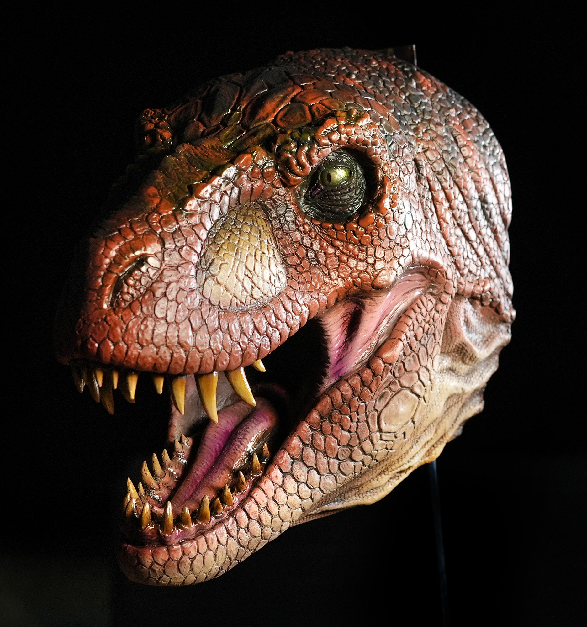 T Rex Head Wall Mount Realistic Detailed Dinosaur Prop Distortions