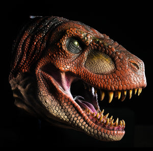 T REX Head Wall Mount Realistic Detailed Dinosaur Prop – Distortions ...