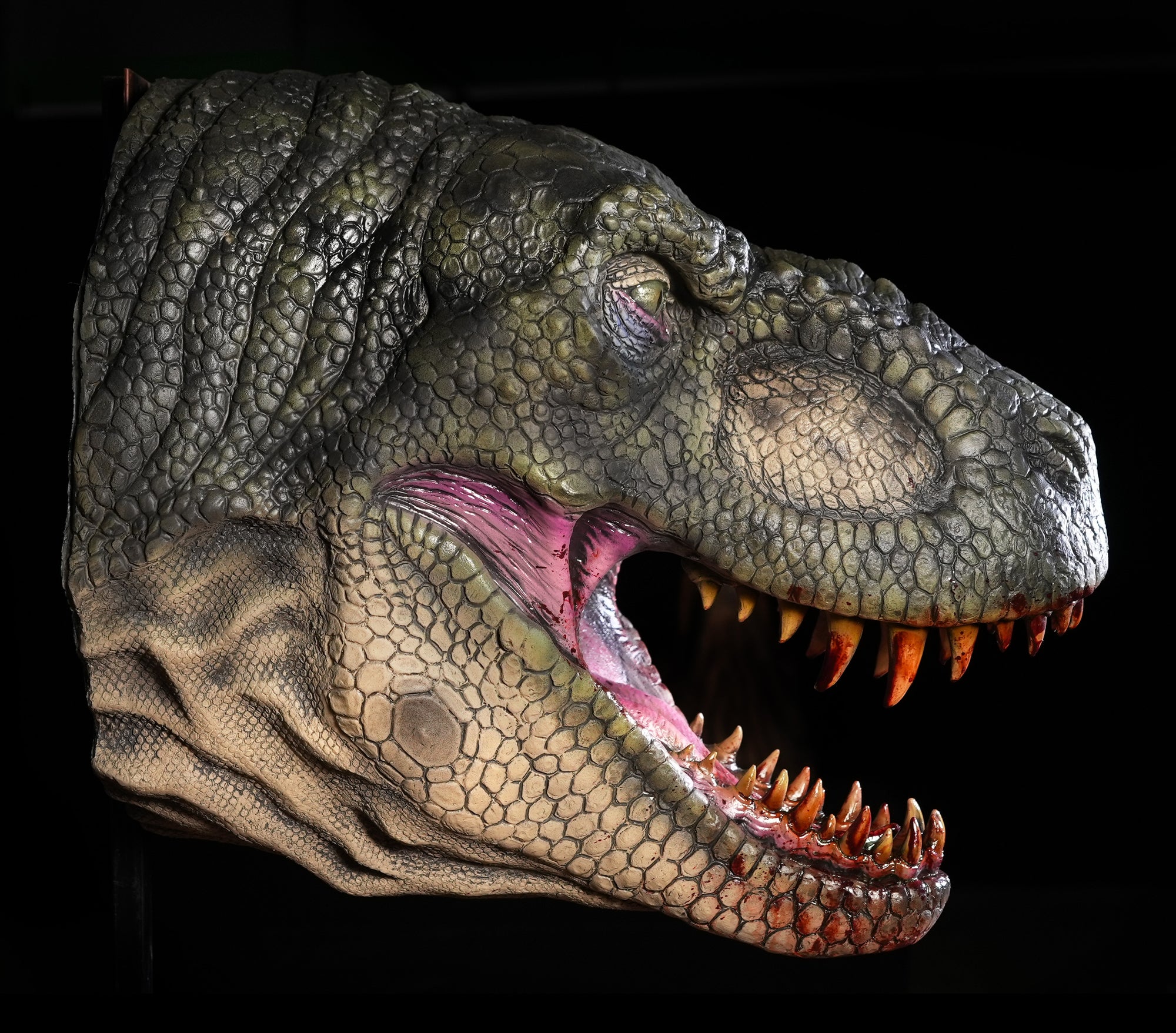 T REX Head Wall Mount Realistic Detailed Dinosaur Prop – Distortions ...