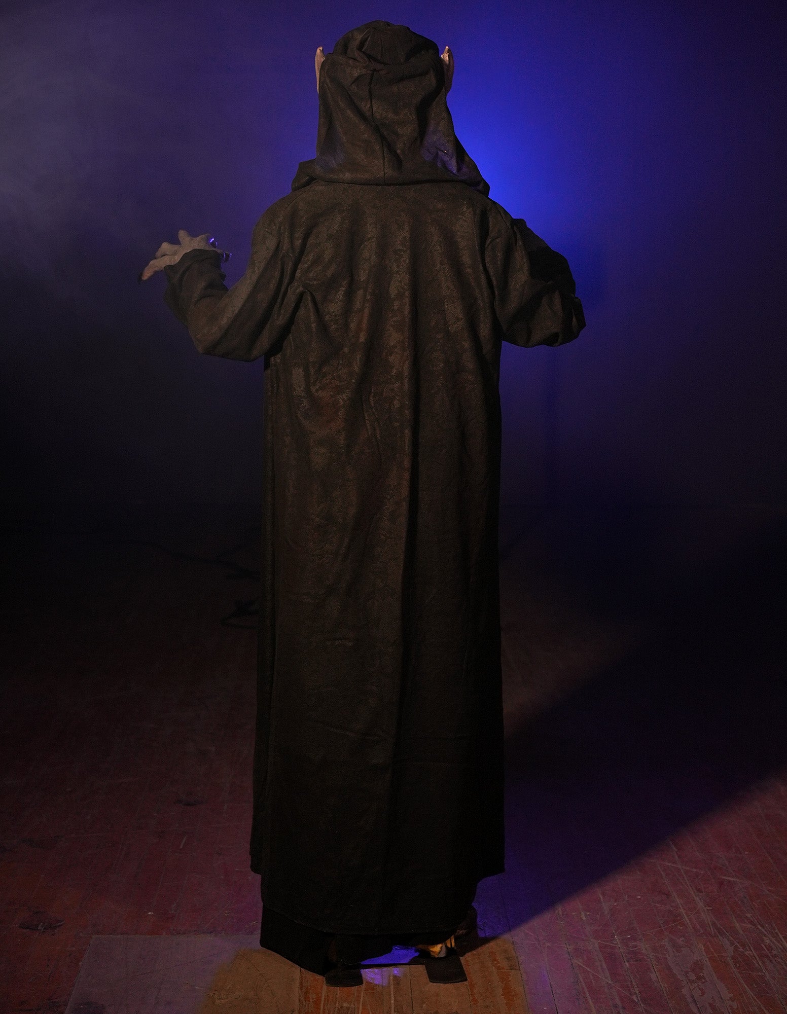 Vampire Legend Halloween & Horror Display Prop – Distortions Unlimited