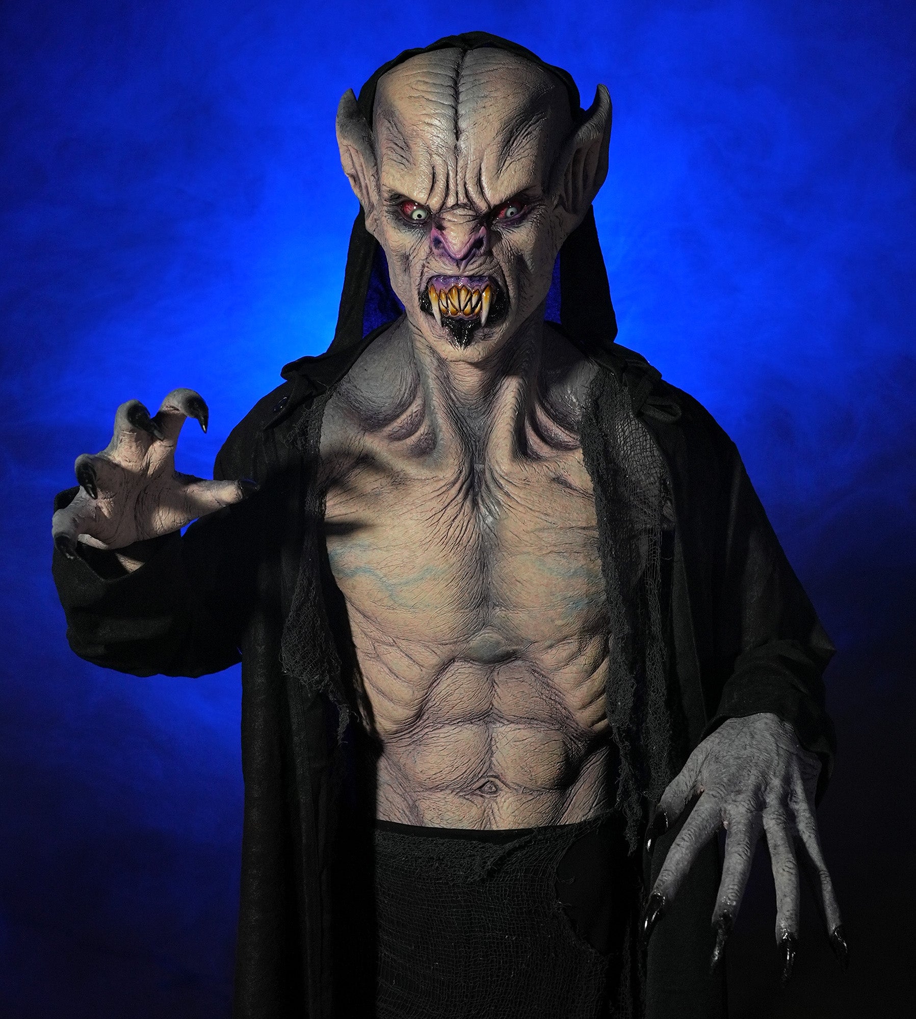 Vampire Legend Halloween & Horror Display Prop – Distortions Unlimited