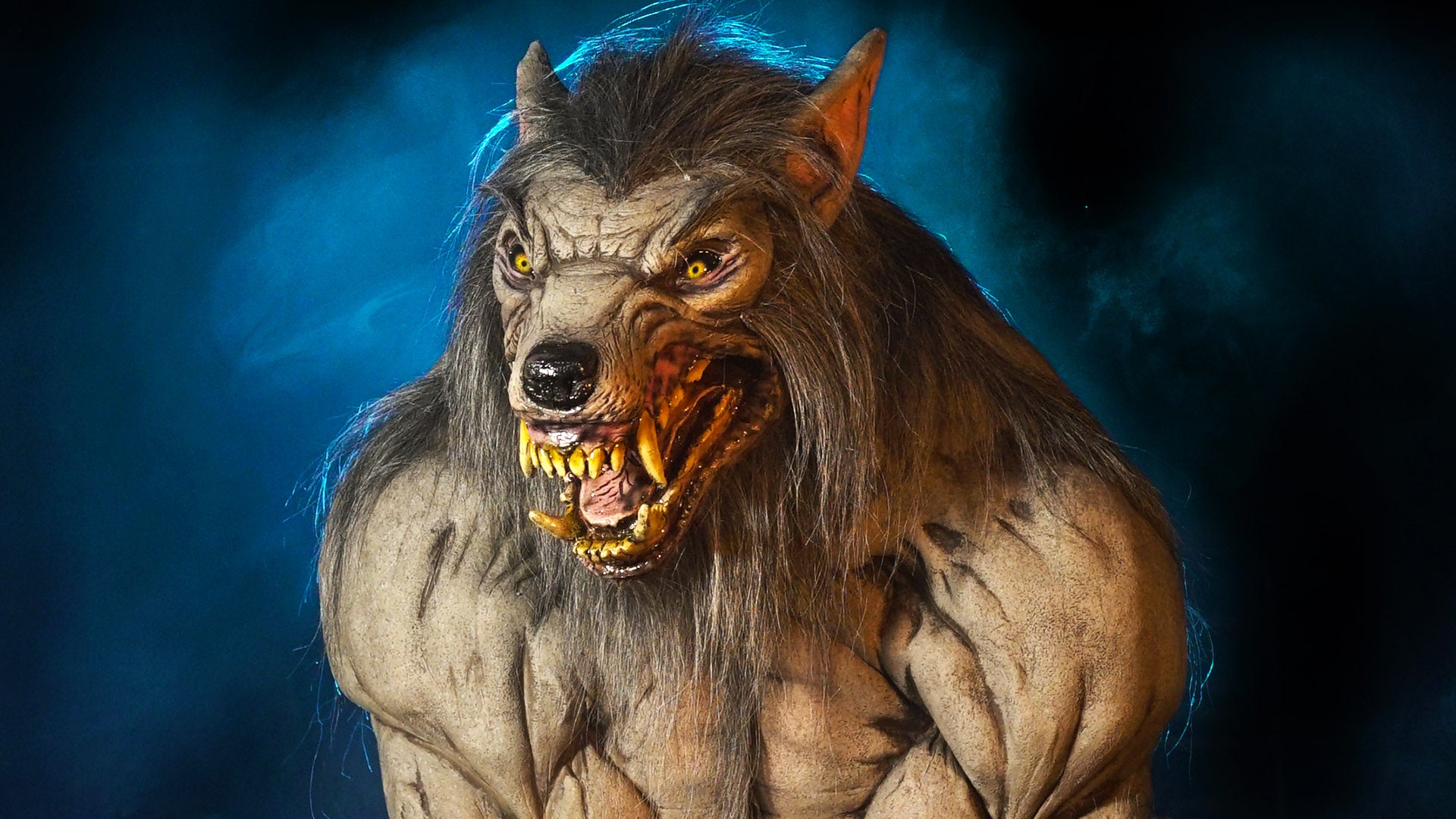 Wicked Wolf Display for Halloween and Haunted Houses – Distortions ...